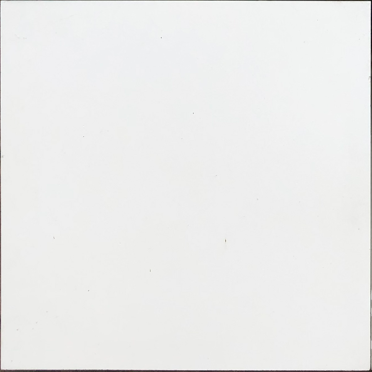 White Encaustic Tile - Rever Tiles | Vibrant, Beautiful & Timeless